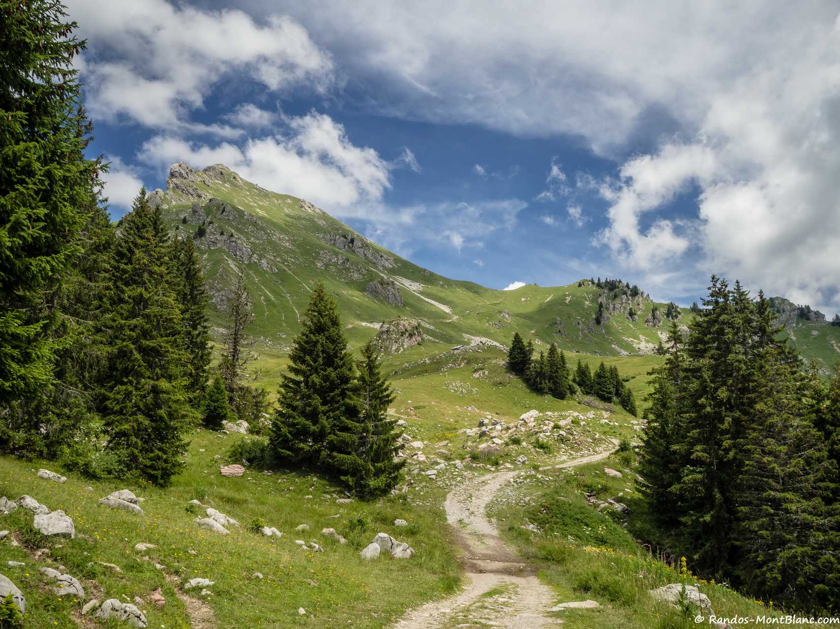 La Pointe de Chavasse — Randos-MontBlanc