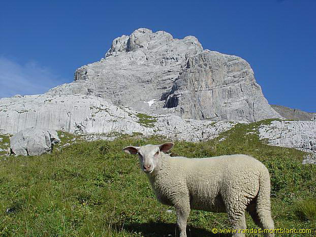La Pointe Percée et Col des Verts — Randos-MontBlanc